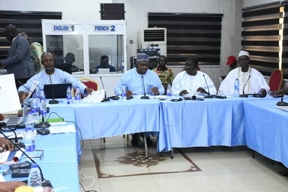 Preservation of the Mandara Mountain Plateau at the Heart of a Workshop ...